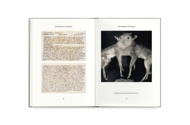 Joan Fontcuberta : Fauna • La Nouvelle Chambre Claire