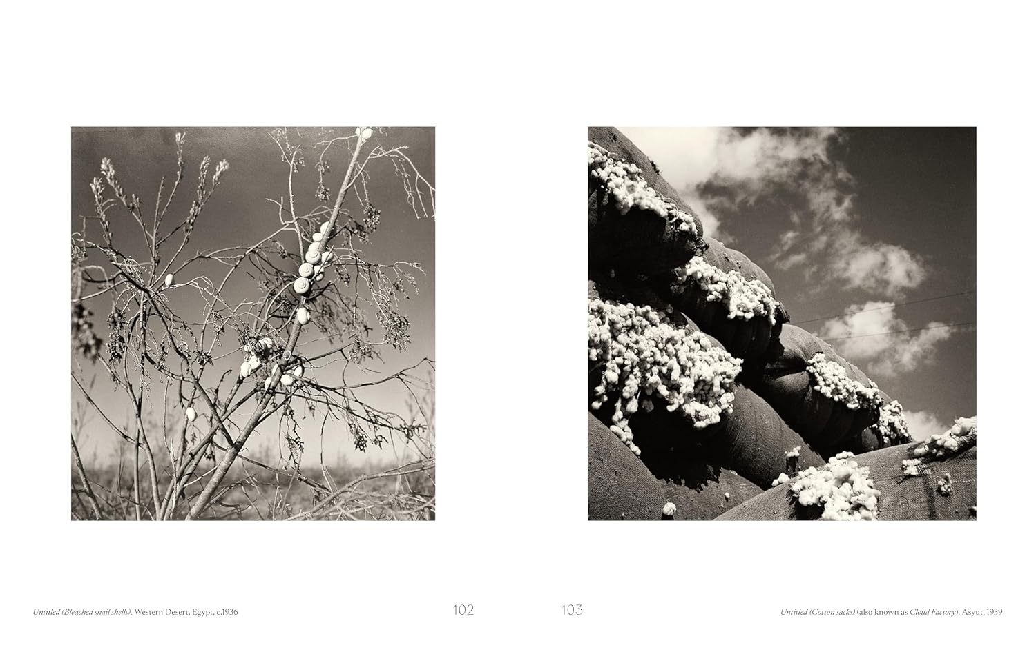 Lee Miller (English Version - HB) • La Nouvelle Chambre Claire